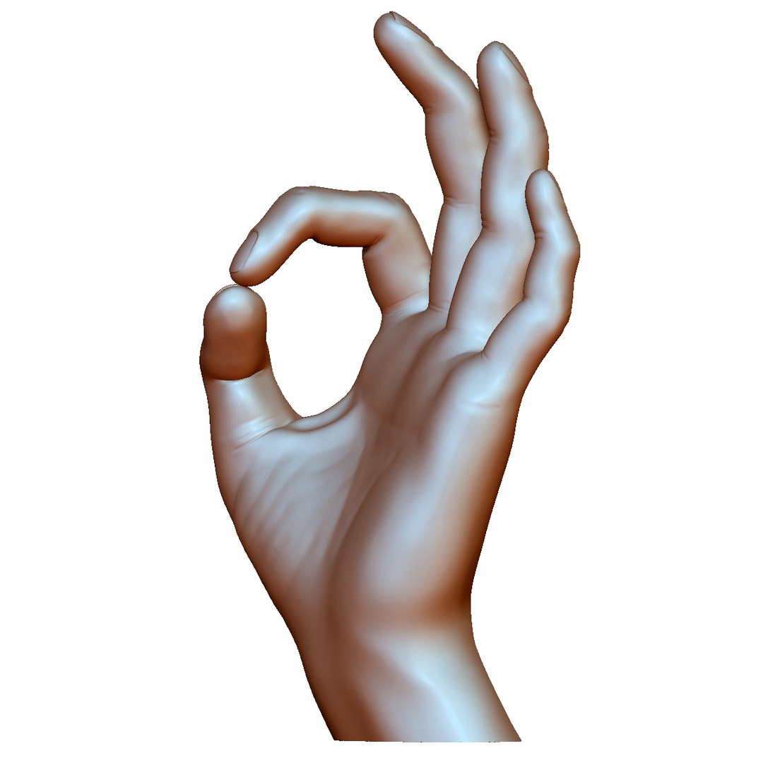 Male Hand Ok Okay 3D Model - TurboSquid 1393656