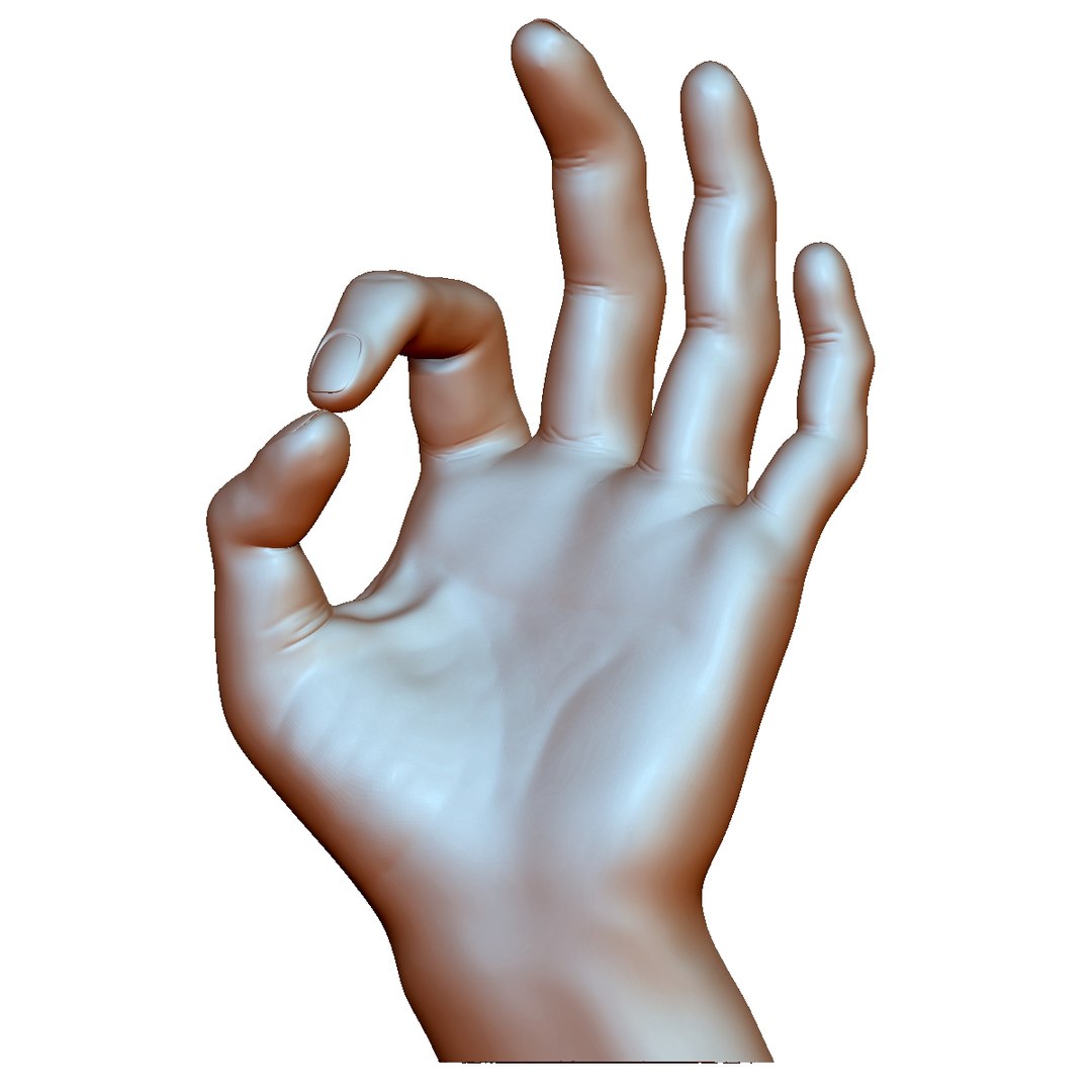 Male Hand Ok Okay 3D Model - TurboSquid 1393656