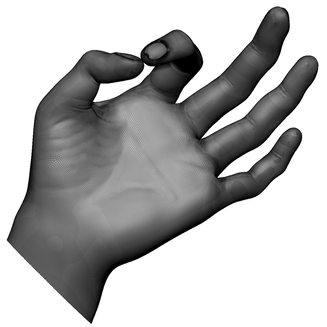 Male Hand Ok Okay 3D Model - TurboSquid 1393656