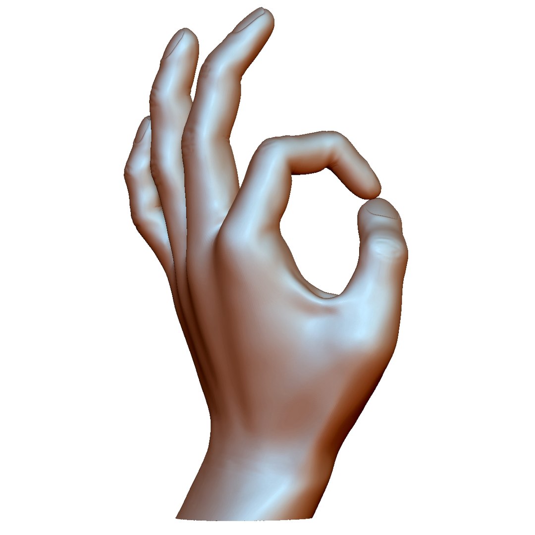 Male Hand Ok Okay 3D Model - TurboSquid 1393656