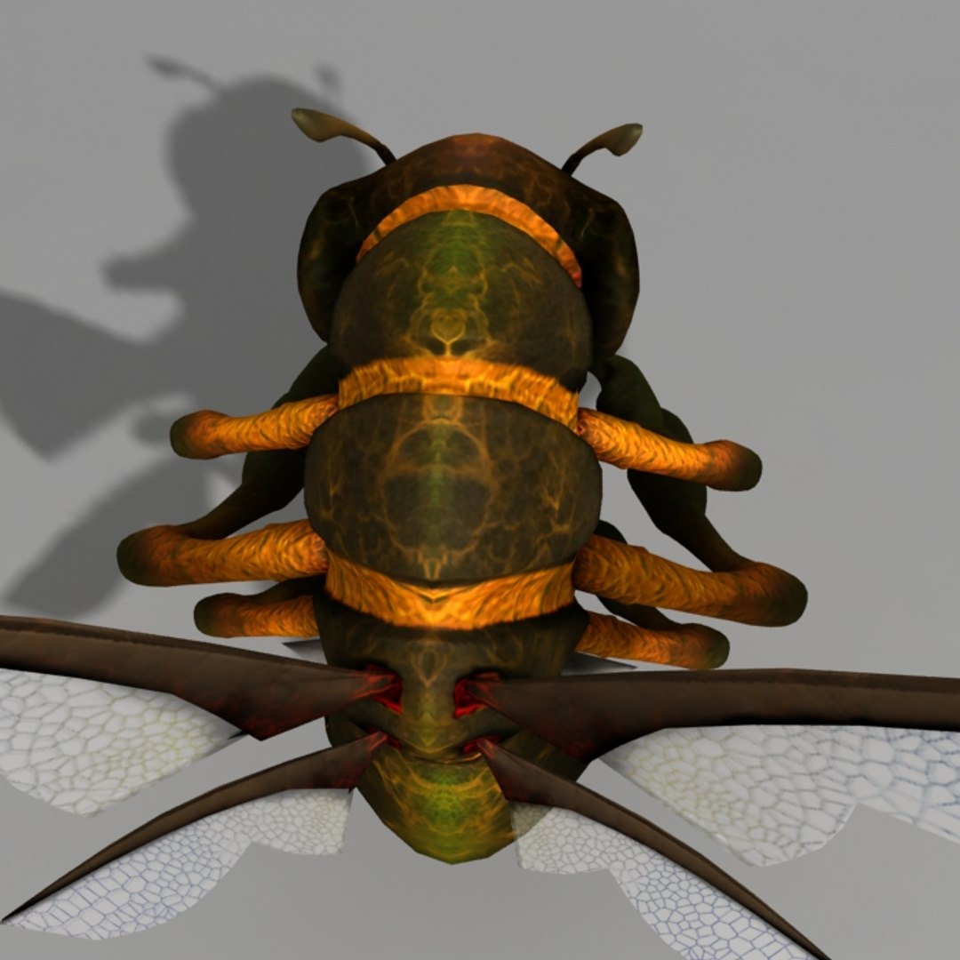 Queen Sting Stinger Max