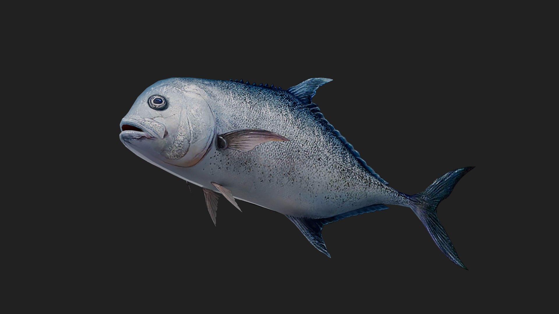 3D Model Trevally - TurboSquid 2122060