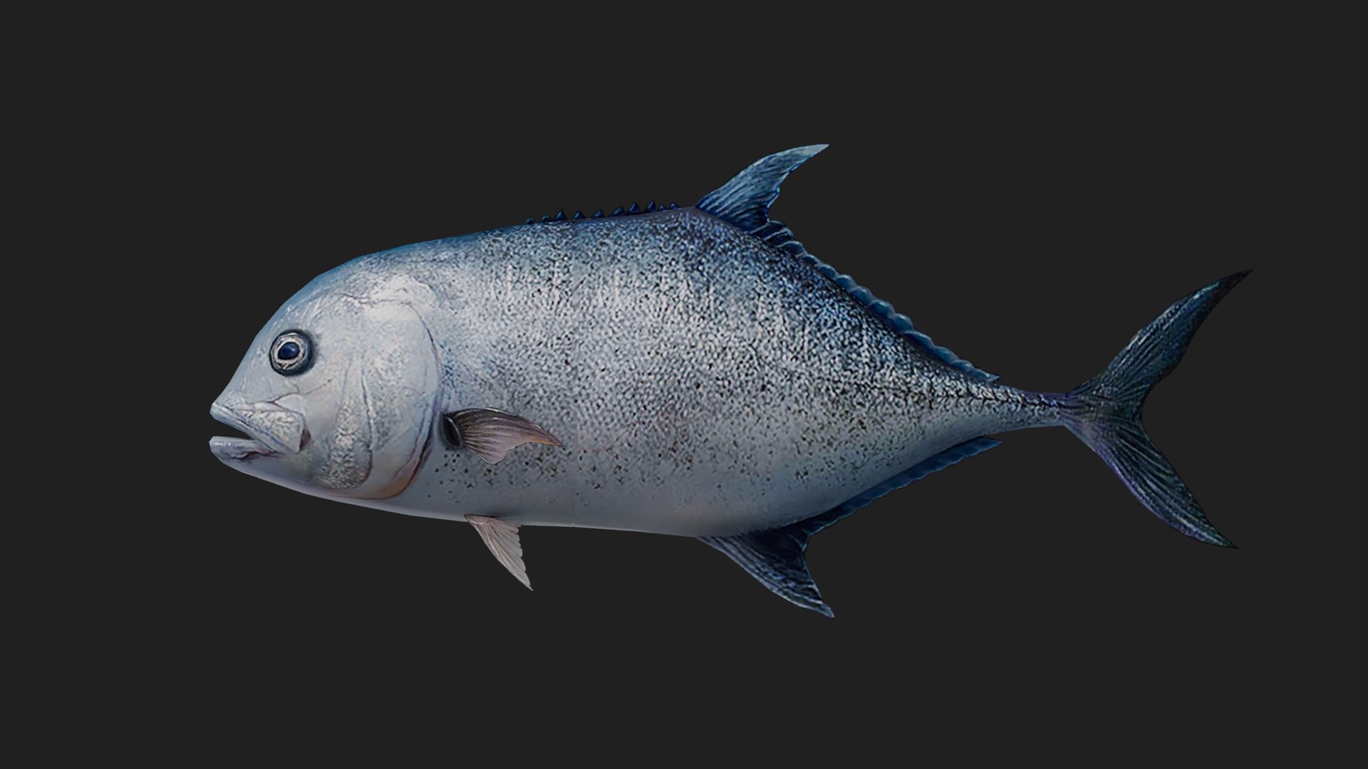 3D Model Trevally - TurboSquid 2122060