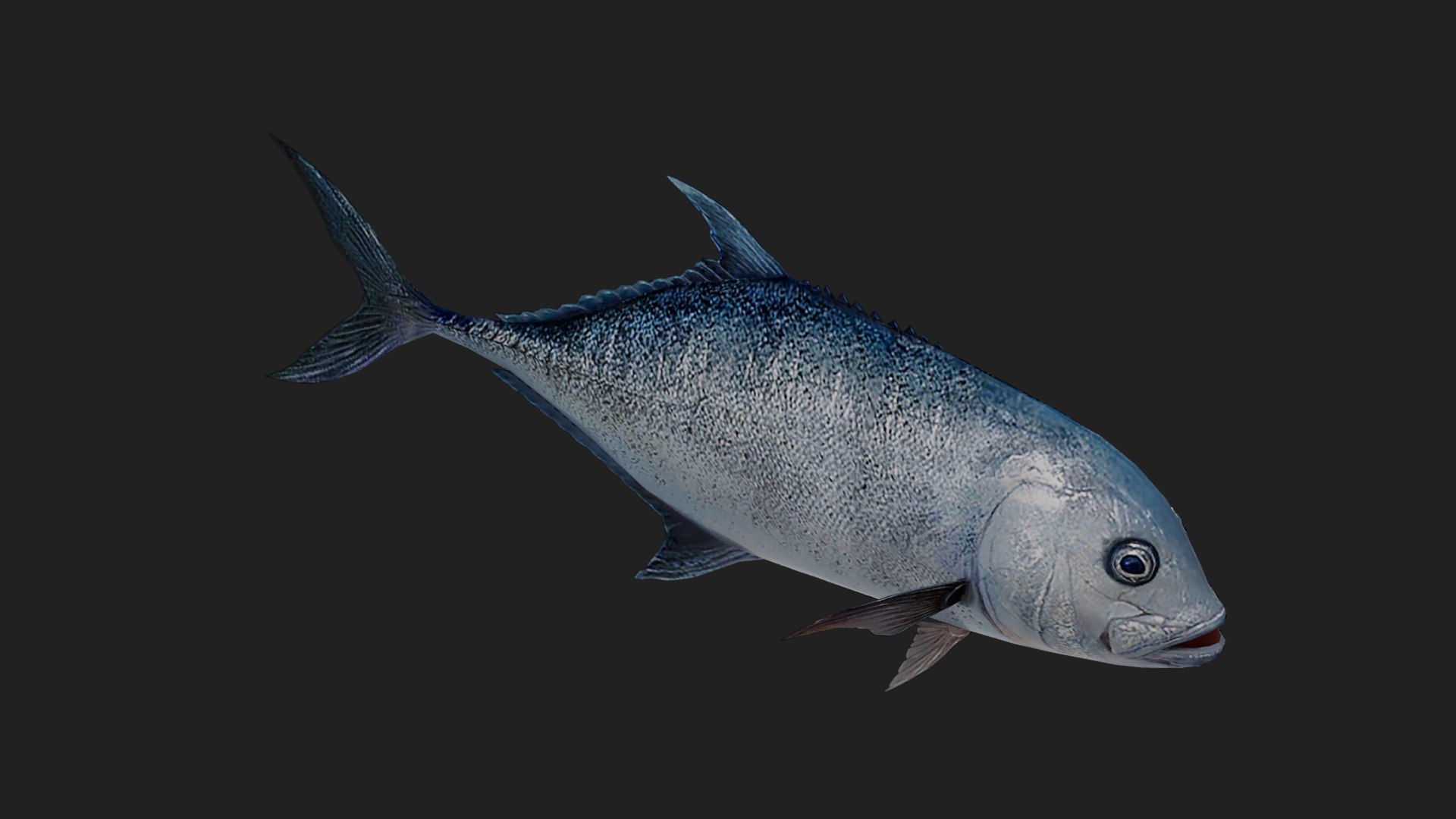 3D Model Trevally - TurboSquid 2122060