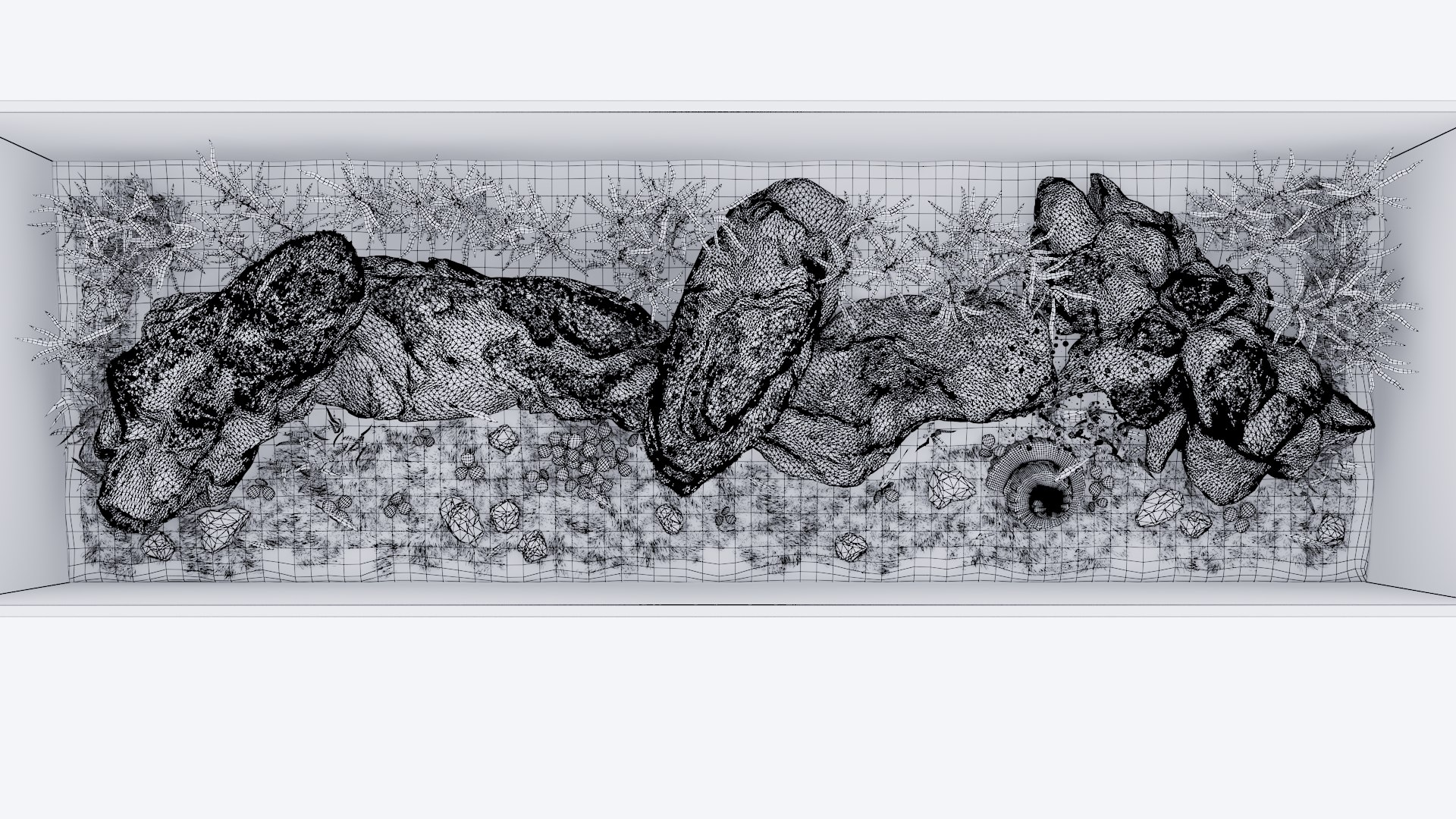 Freshwater Aquarium Rockscape With Plants And Fish 3D - TurboSquid 2324124