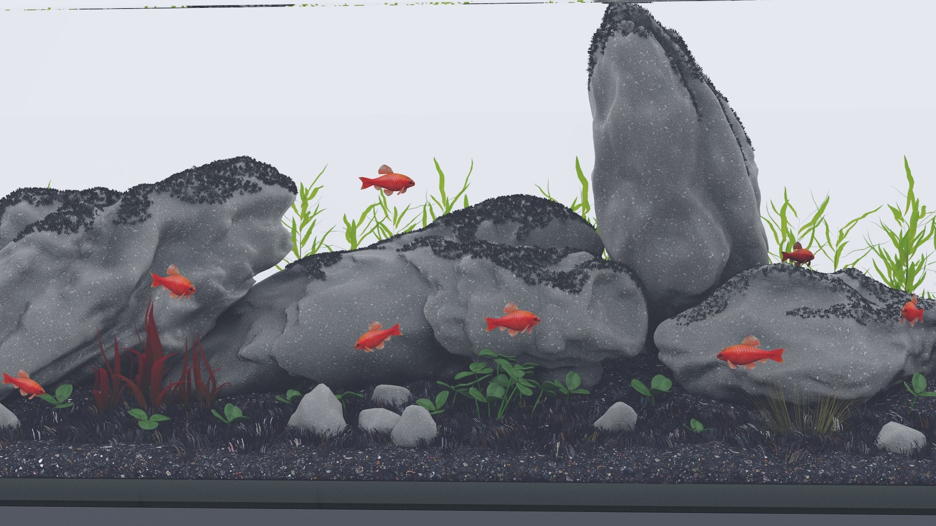 Freshwater Aquarium Rockscape With Plants And Fish 3D - TurboSquid 2324124