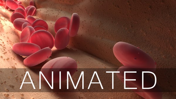 3D bloodstream animation - TurboSquid 1321441