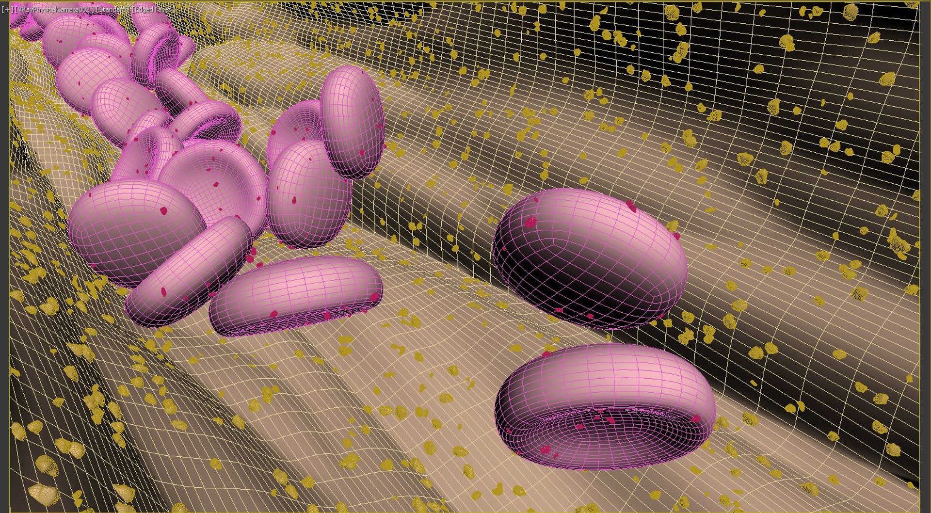 Blood Cells Animation 3D Model - TurboSquid 1238674