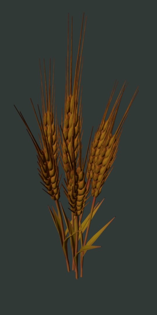 grain 3d obj