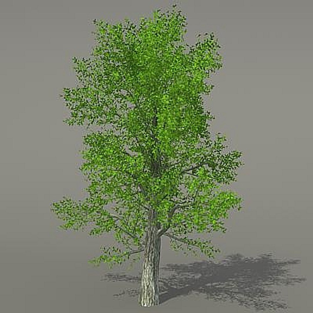tree 3d max