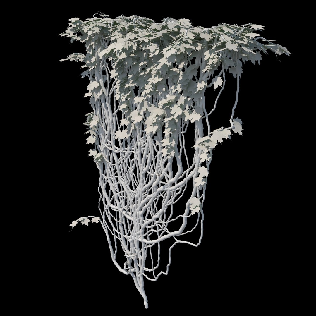 3D Realistic Ivy - TurboSquid 1149328