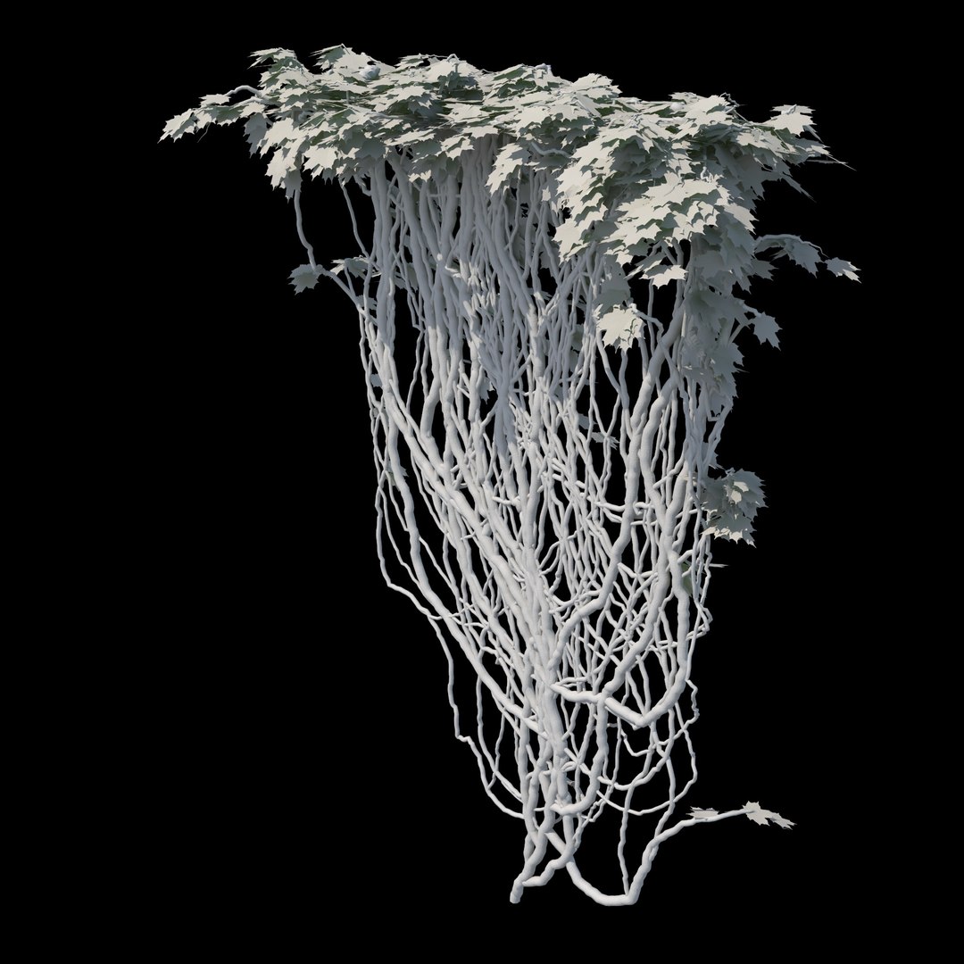 3D Realistic Ivy - TurboSquid 1149328