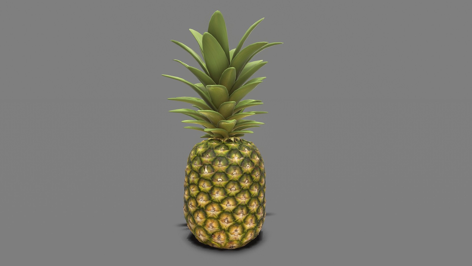 Pineapple Real Time 3D Model - TurboSquid 1502758