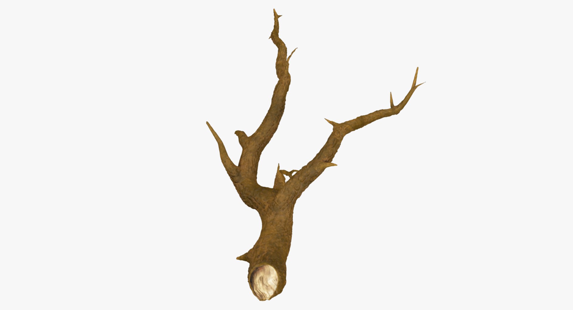 Tree Branch 3D - TurboSquid 1297699