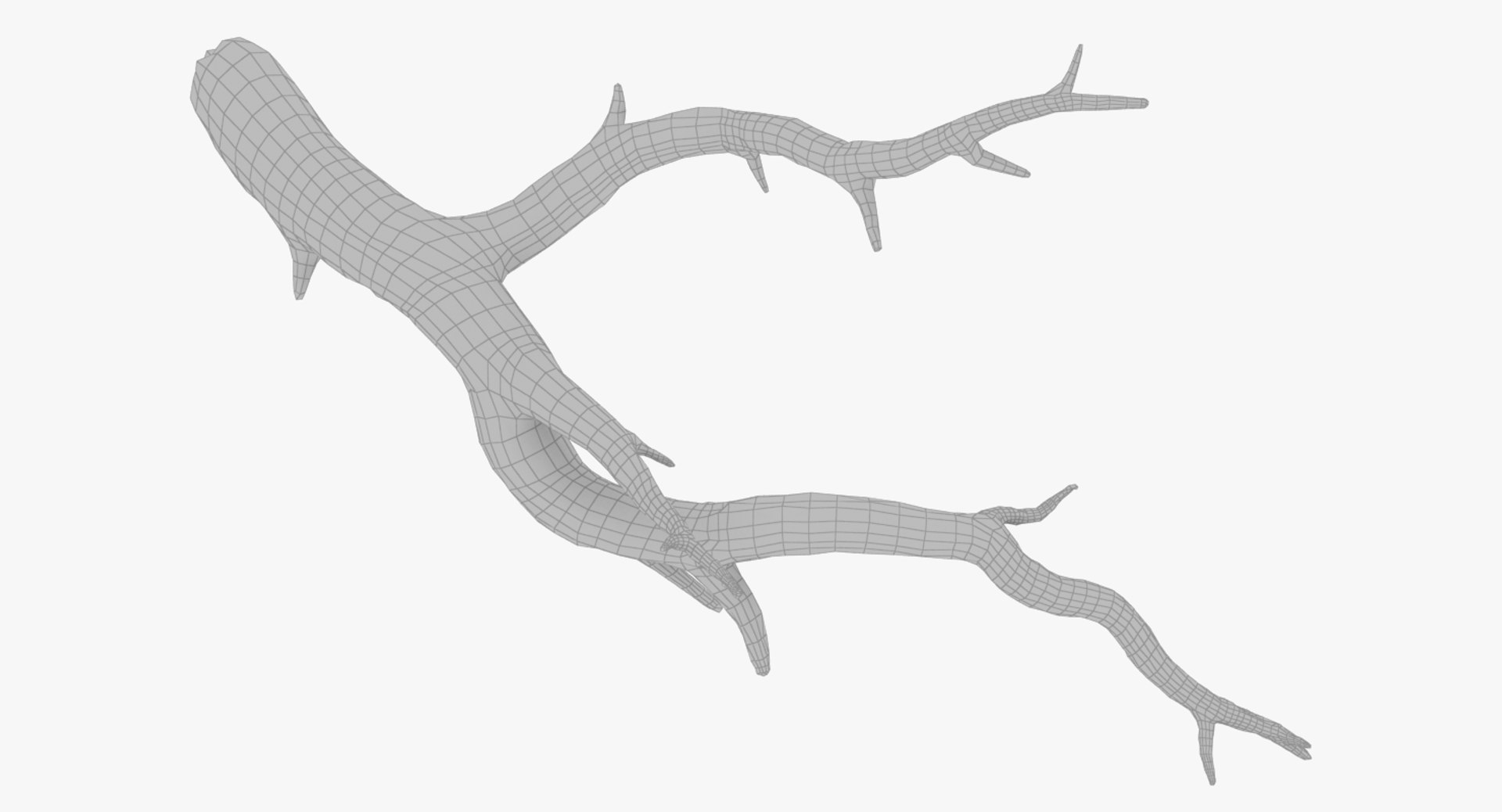 Tree Branch 3D - TurboSquid 1297699