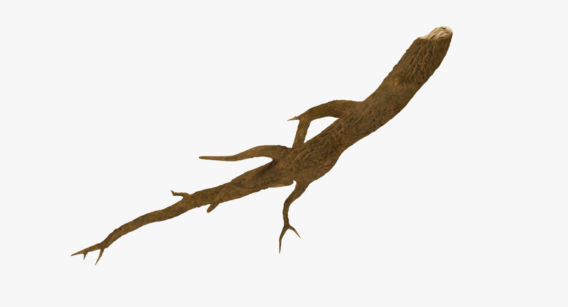 Tree Branch 3D - TurboSquid 1297699