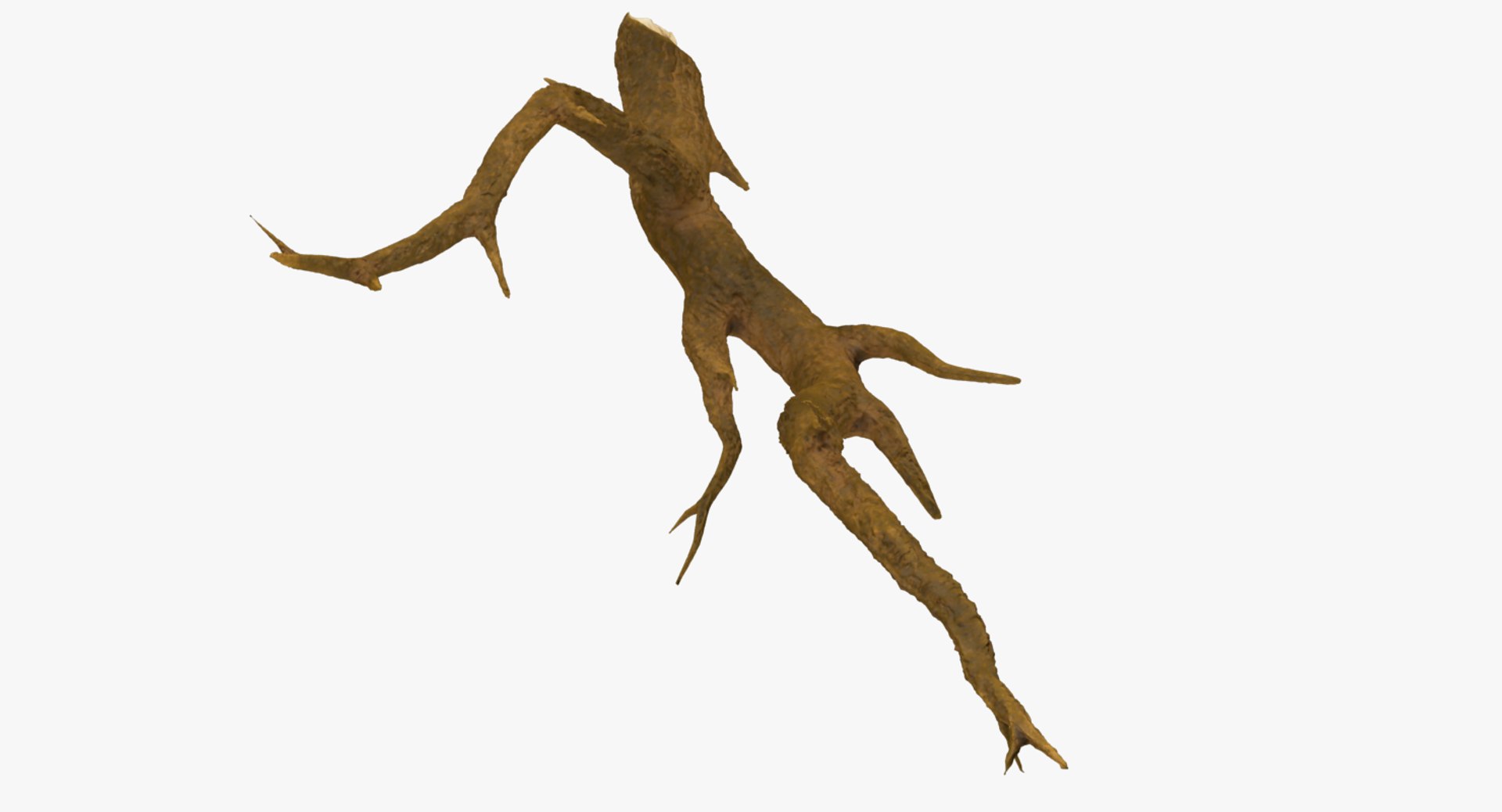 Tree Branch 3D - TurboSquid 1297699