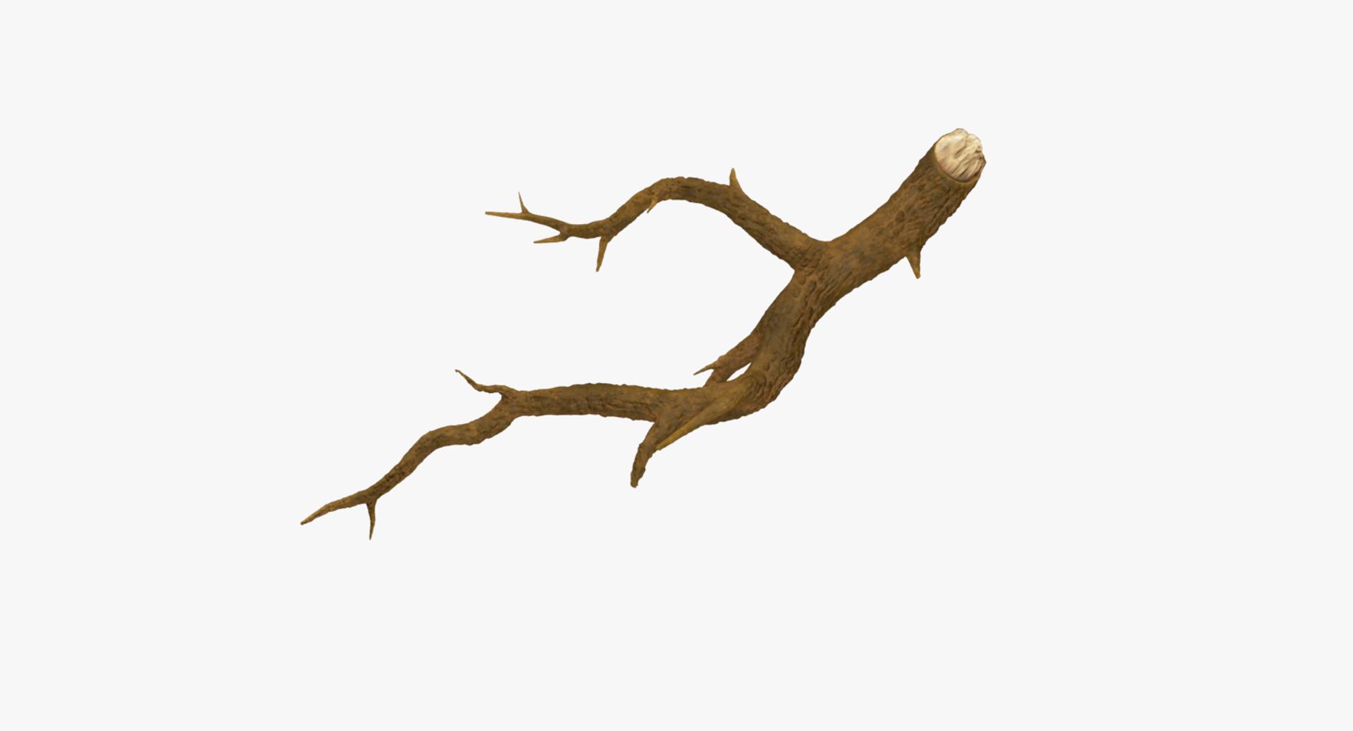 Tree Branch 3D - TurboSquid 1297699