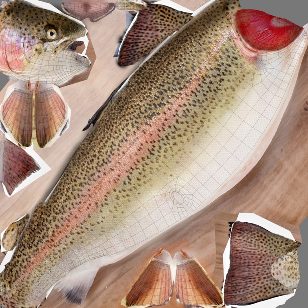 Trout fish animation 3D model - TurboSquid 1151474
