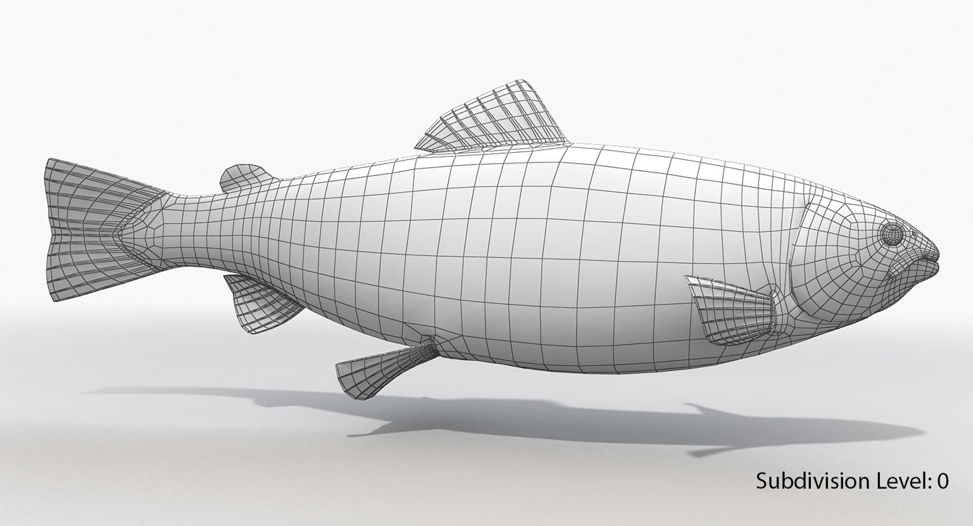 Trout fish animation 3D model - TurboSquid 1151474