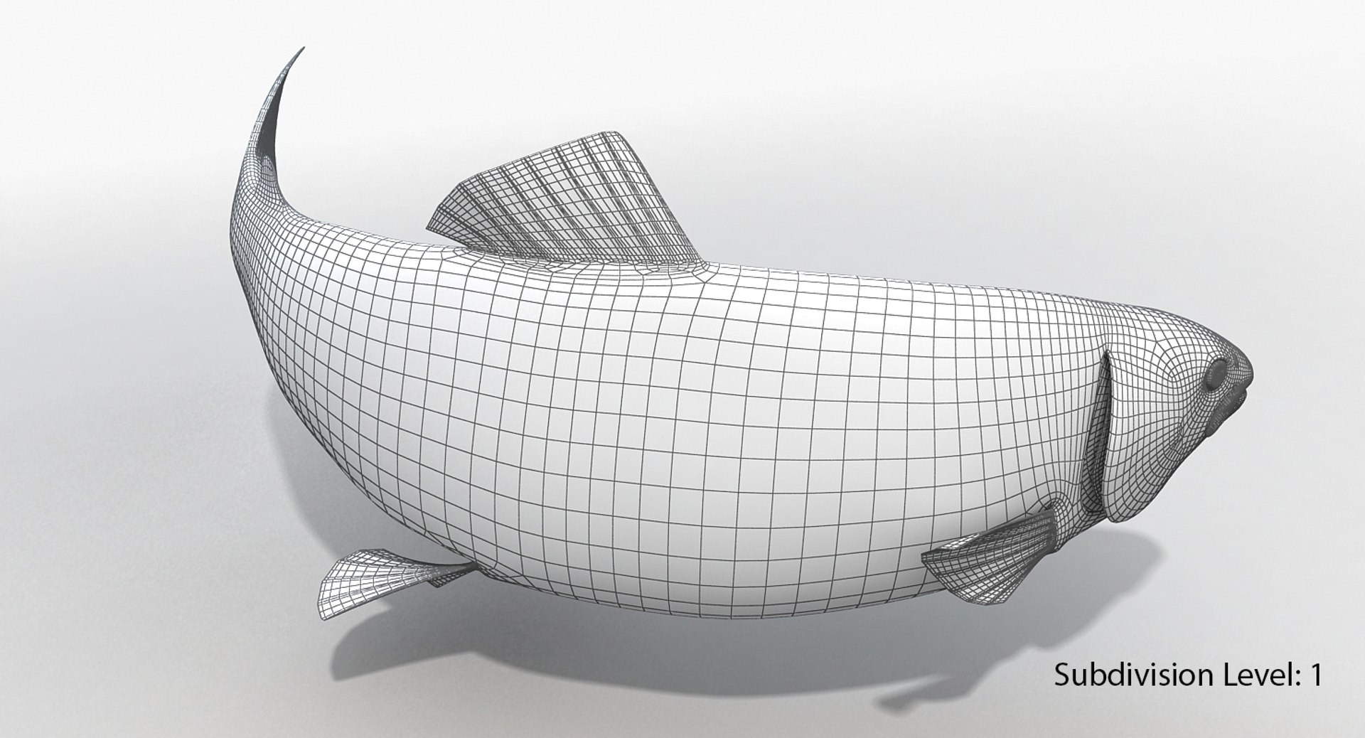 Trout fish animation 3D model - TurboSquid 1151474