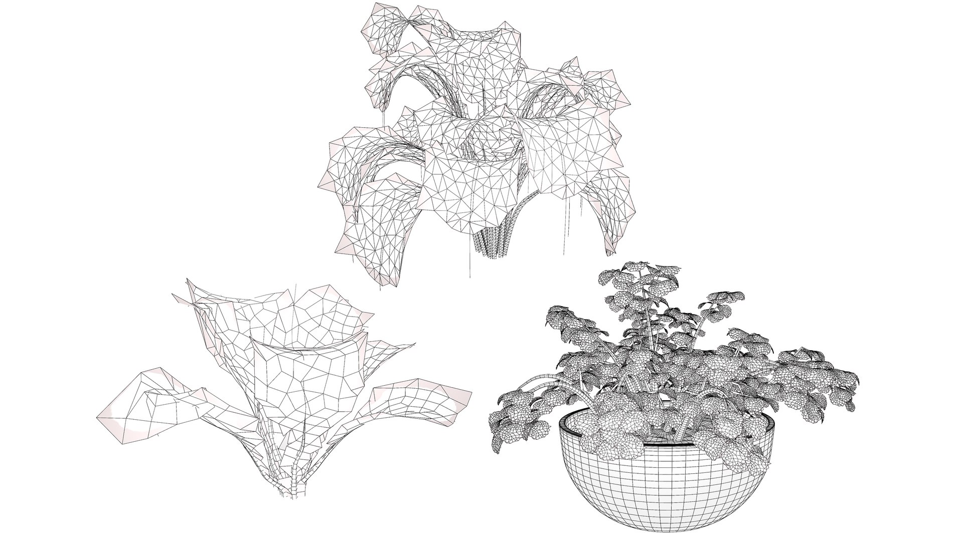 3D Versatile Leafy Plants 3D Asset Pack - TurboSquid 2433156