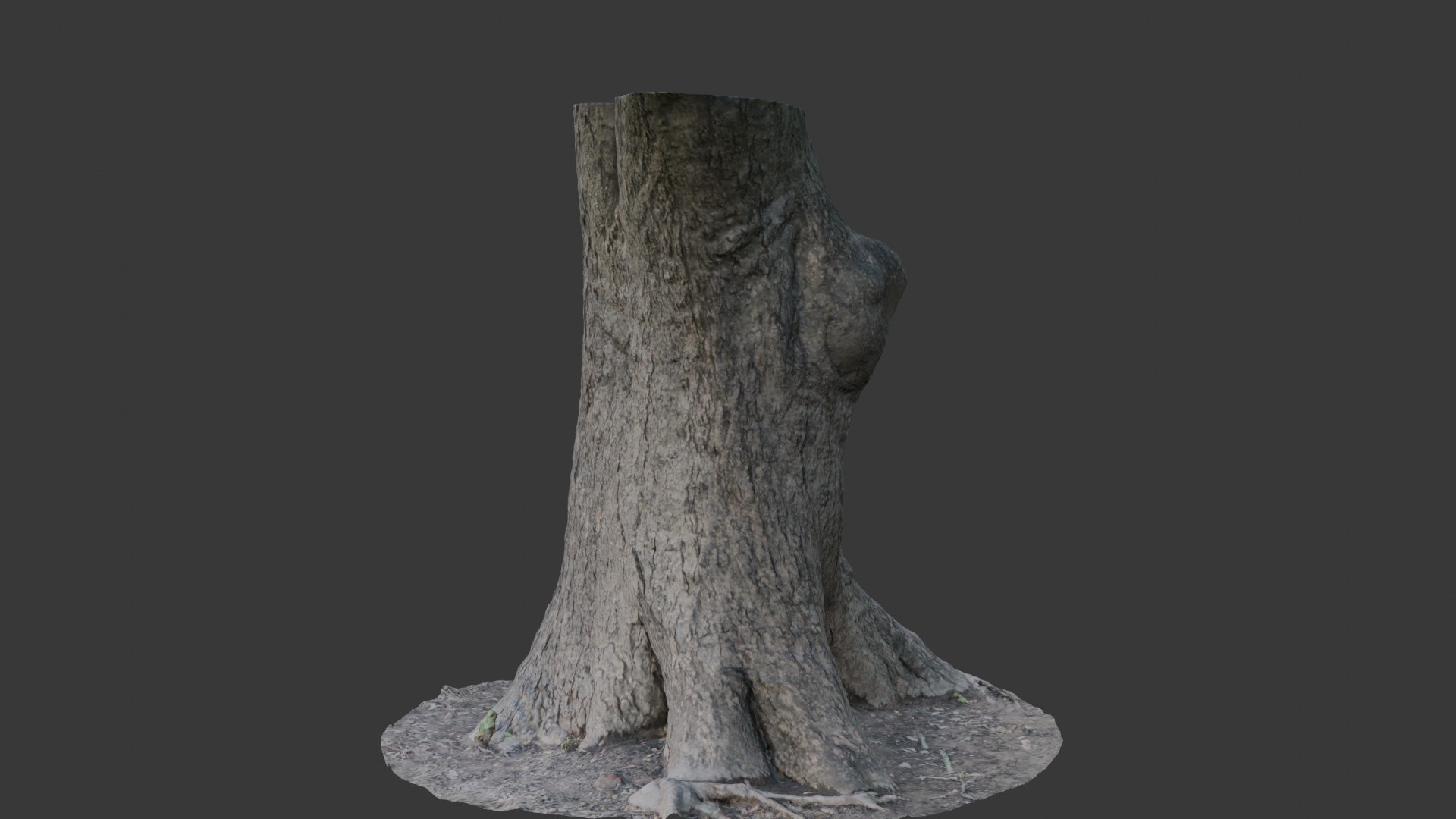 3D Realistic 3D Scanned Wide Tree Trunk Model - TurboSquid 2395526