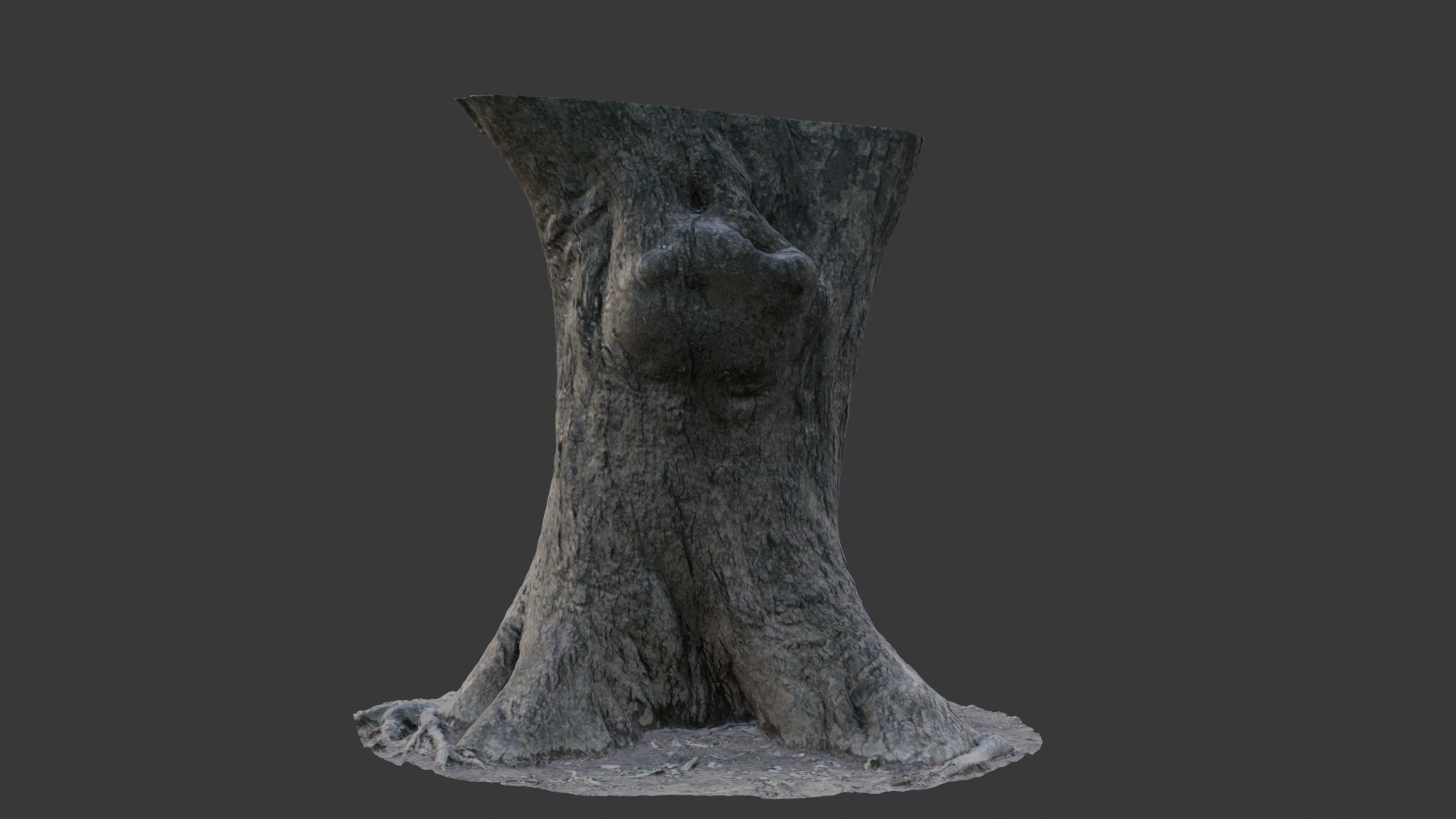 3D Realistic 3D Scanned Wide Tree Trunk Model - TurboSquid 2395526