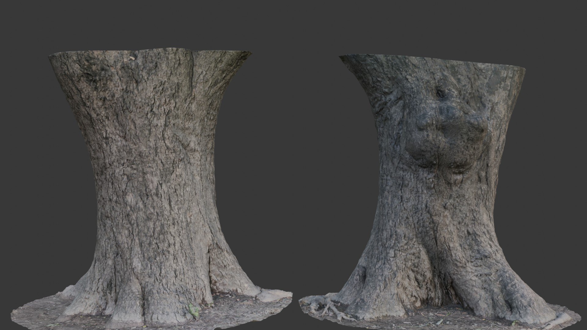 3D Realistic 3D Scanned Wide Tree Trunk Model - TurboSquid 2395526