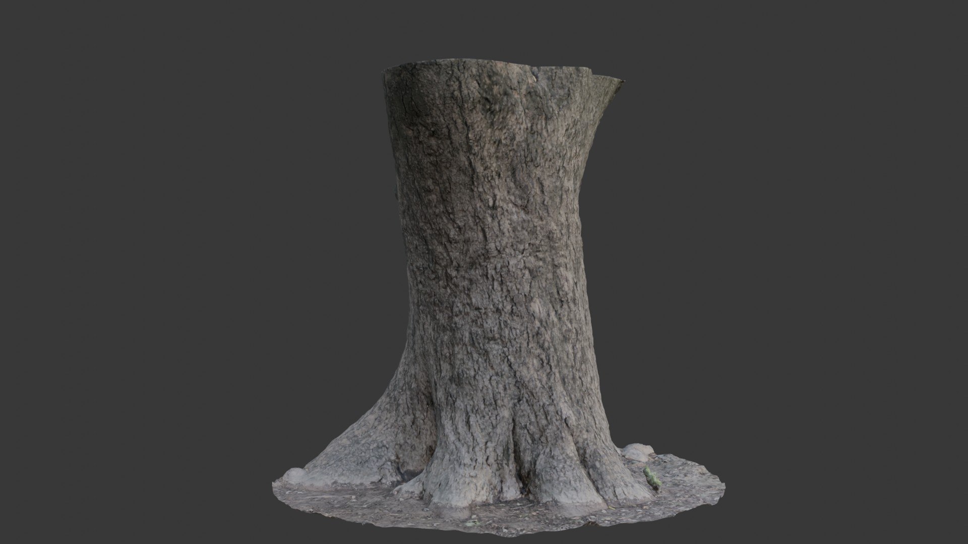 3D Realistic 3D Scanned Wide Tree Trunk Model - TurboSquid 2395526