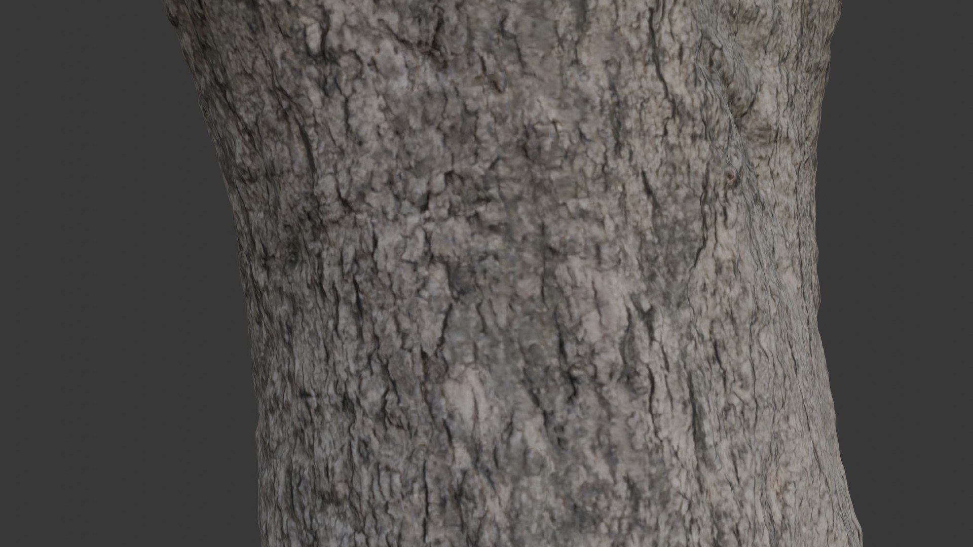 3D Realistic 3D Scanned Wide Tree Trunk Model - TurboSquid 2395526