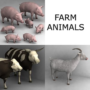 Pig 3D Models for Download | TurboSquid