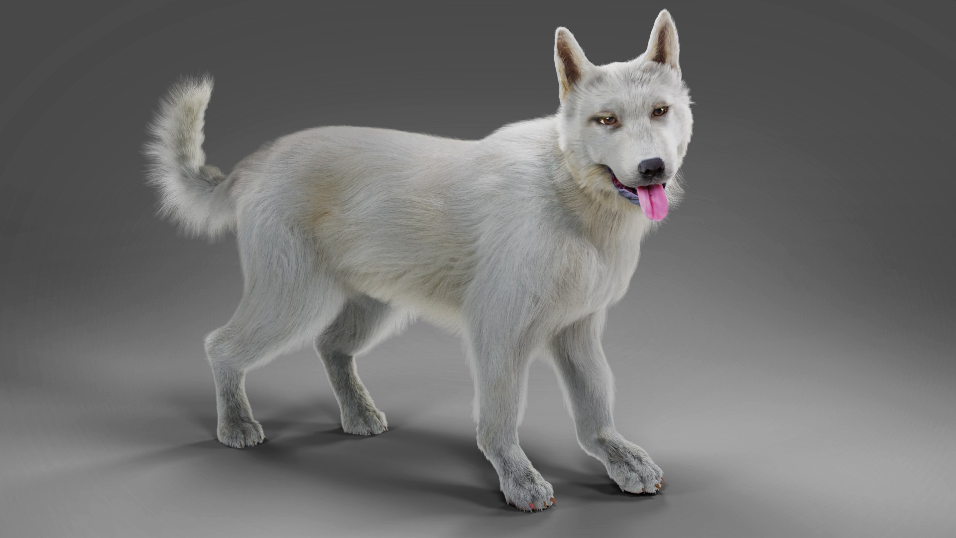 3D Fur White Dog NO Rig Model - TurboSquid 1922237