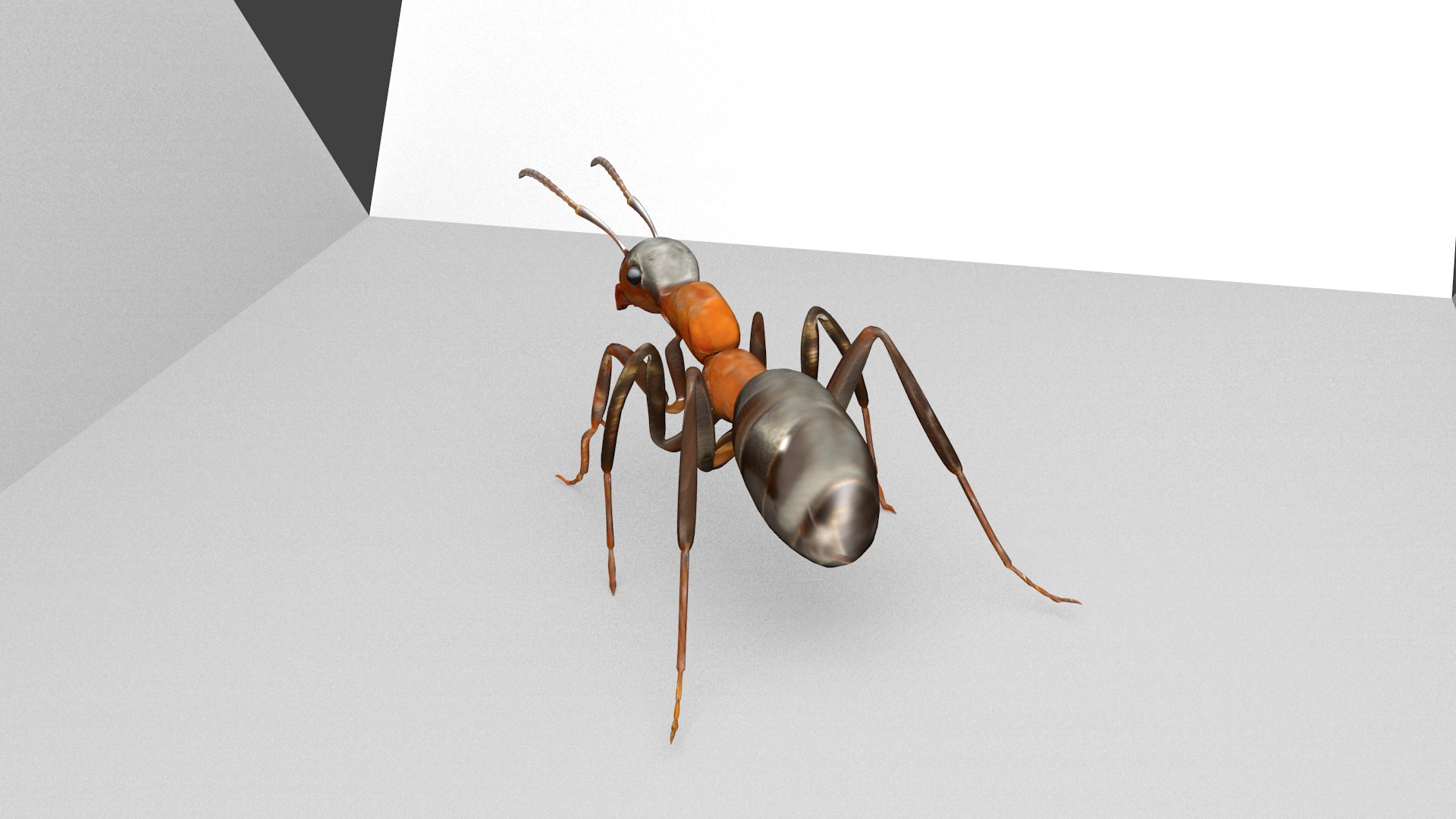 3D Model Ant - TurboSquid 1353571