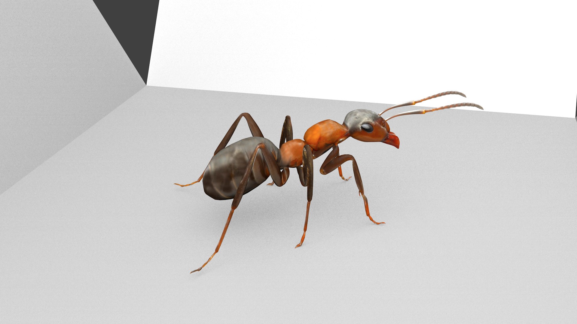 3D Model Ant - TurboSquid 1353571