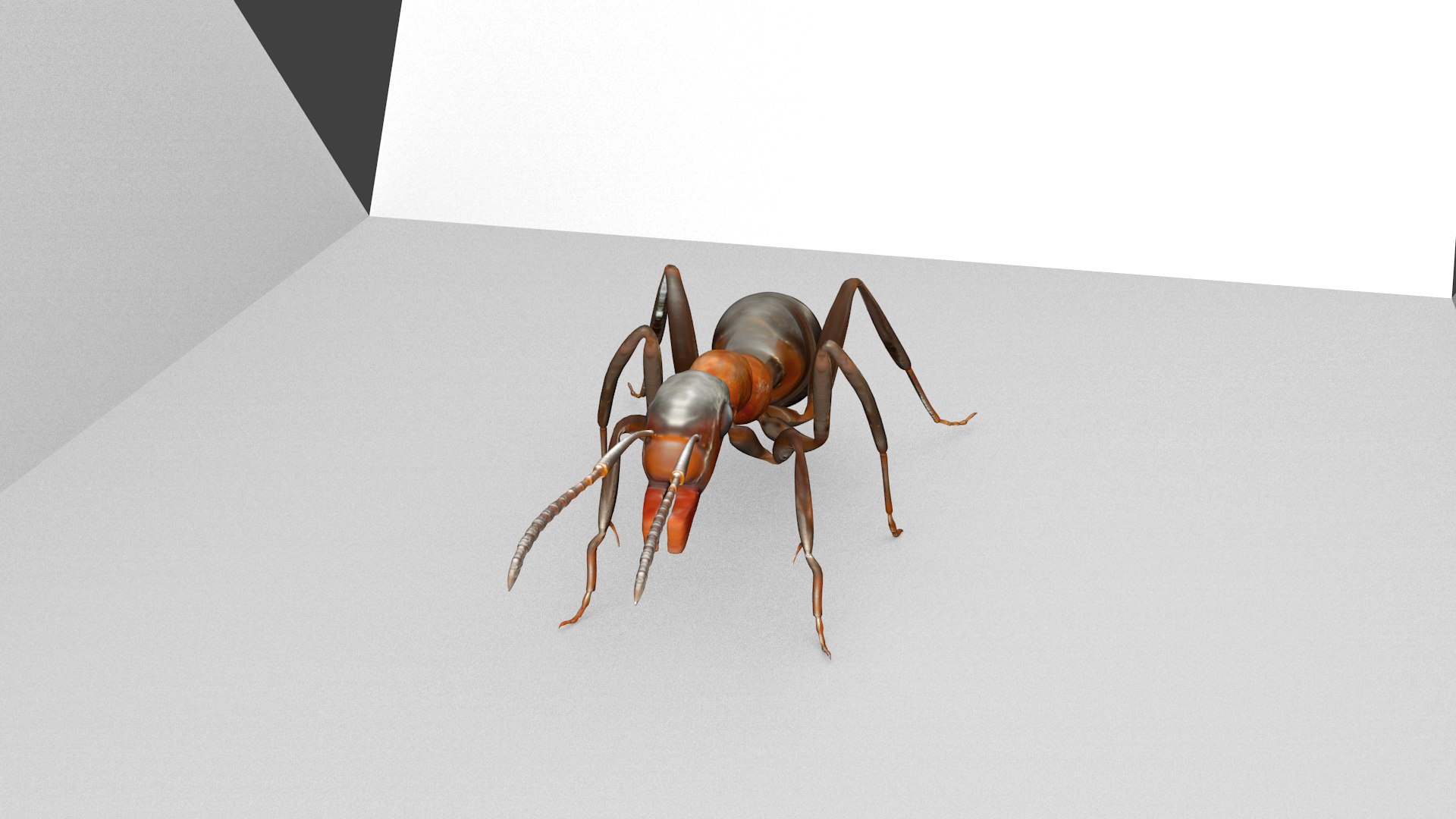 3D Model Ant - TurboSquid 1353571