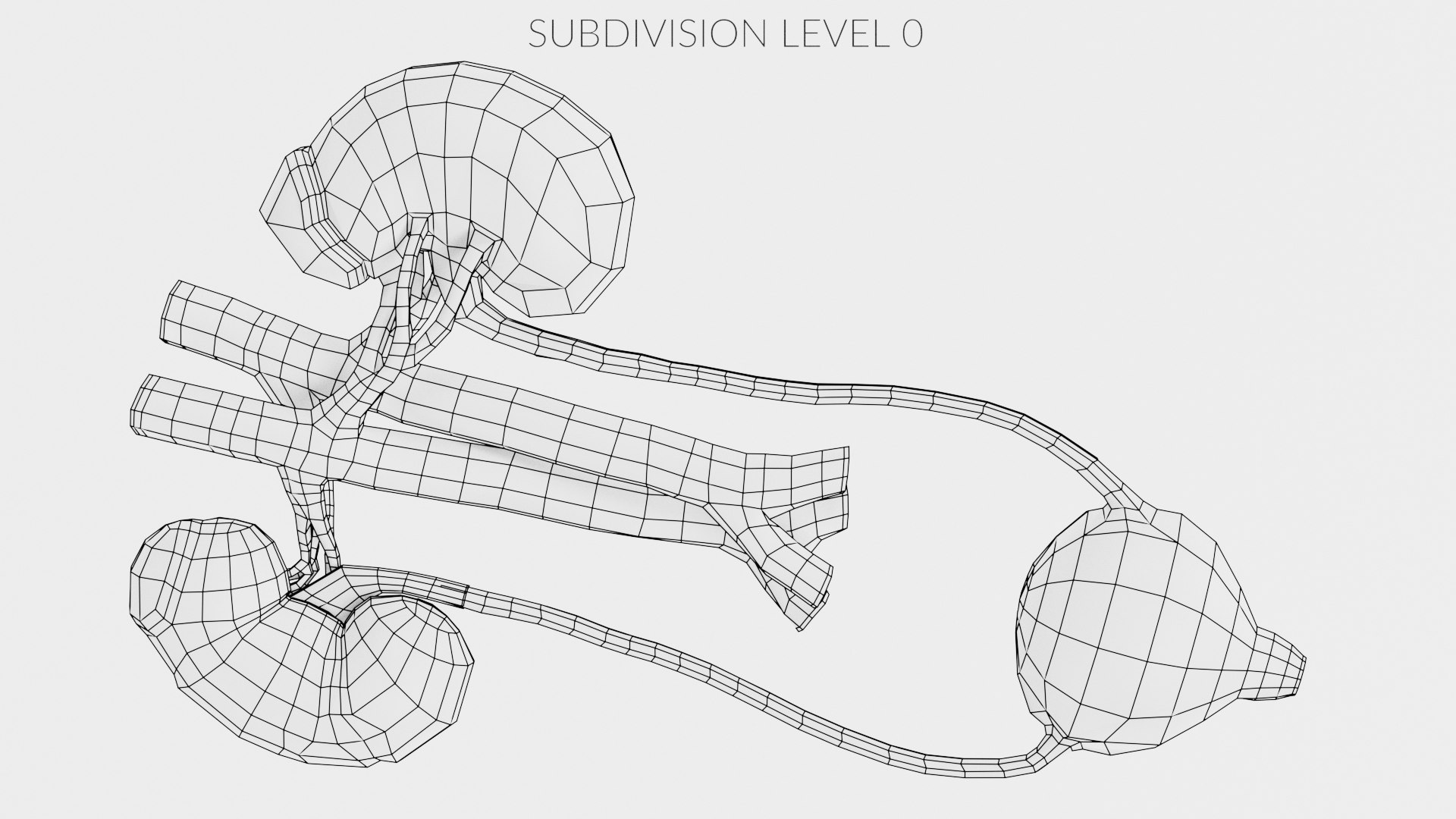 Urinary System Section 2 3D Model - TurboSquid 1716381