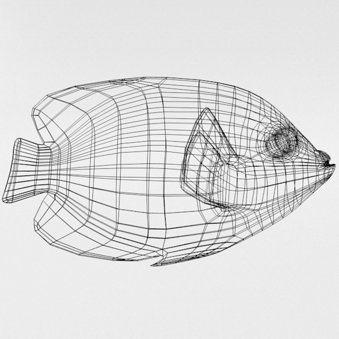 Angelfish Emperor 3D Model - TurboSquid 1319843