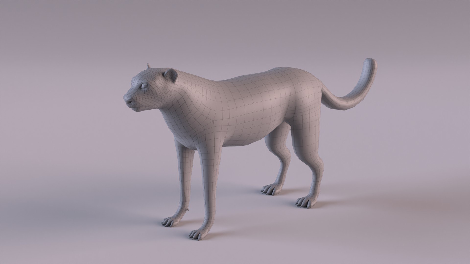 Cheetah 3D Model - TurboSquid 2039833