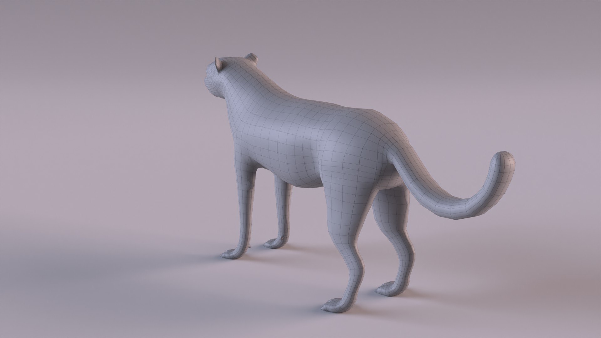 Cheetah 3D Model - TurboSquid 2039833