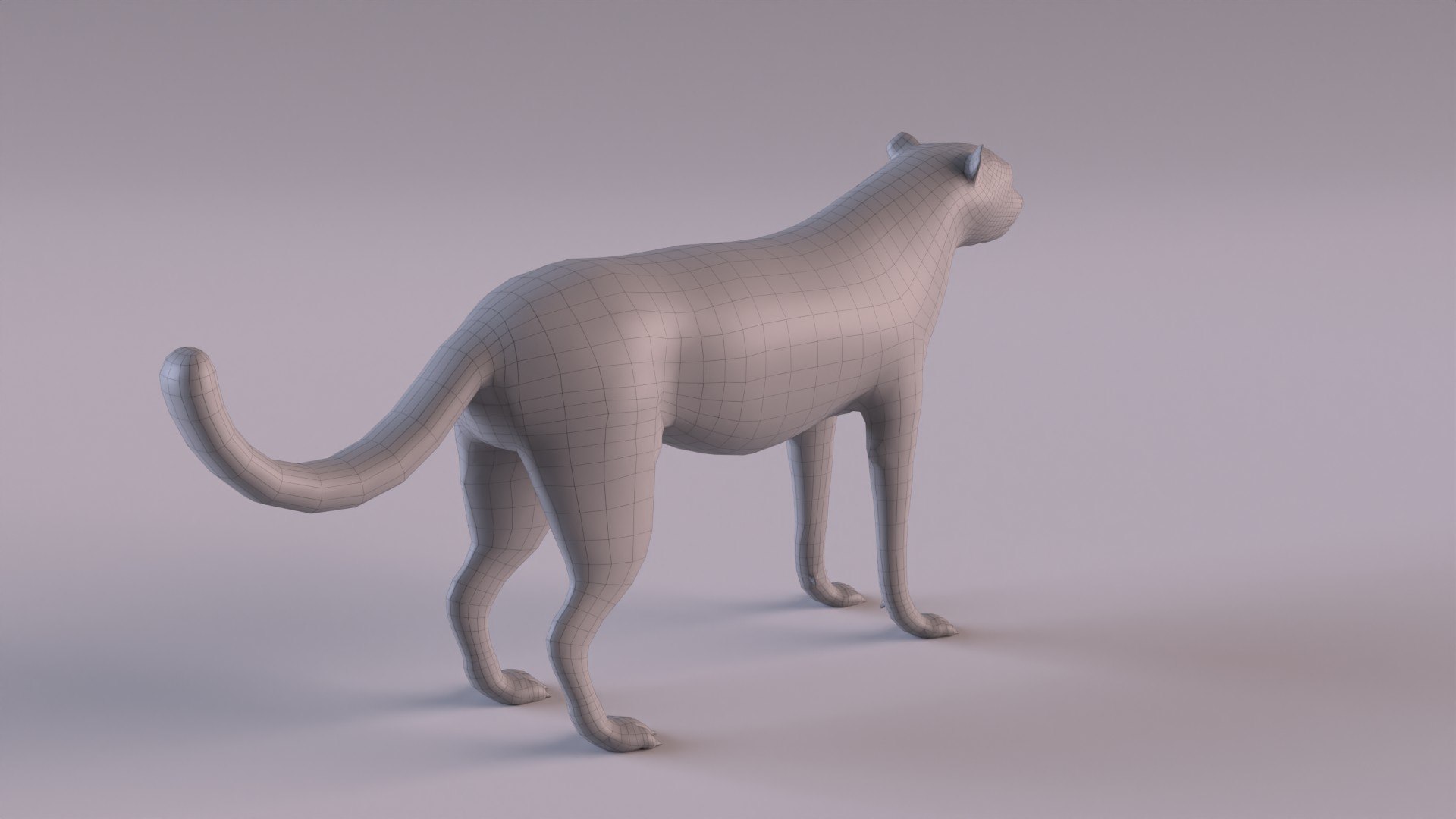 Cheetah 3D Model - TurboSquid 2039833