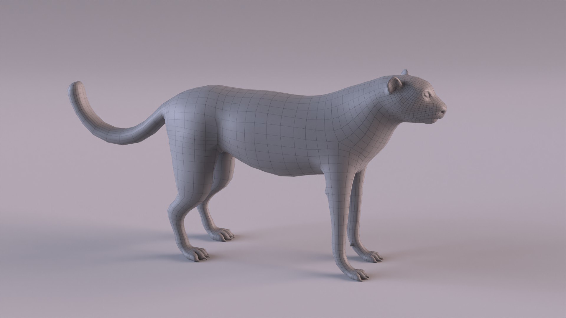Cheetah 3D Model - TurboSquid 2039833