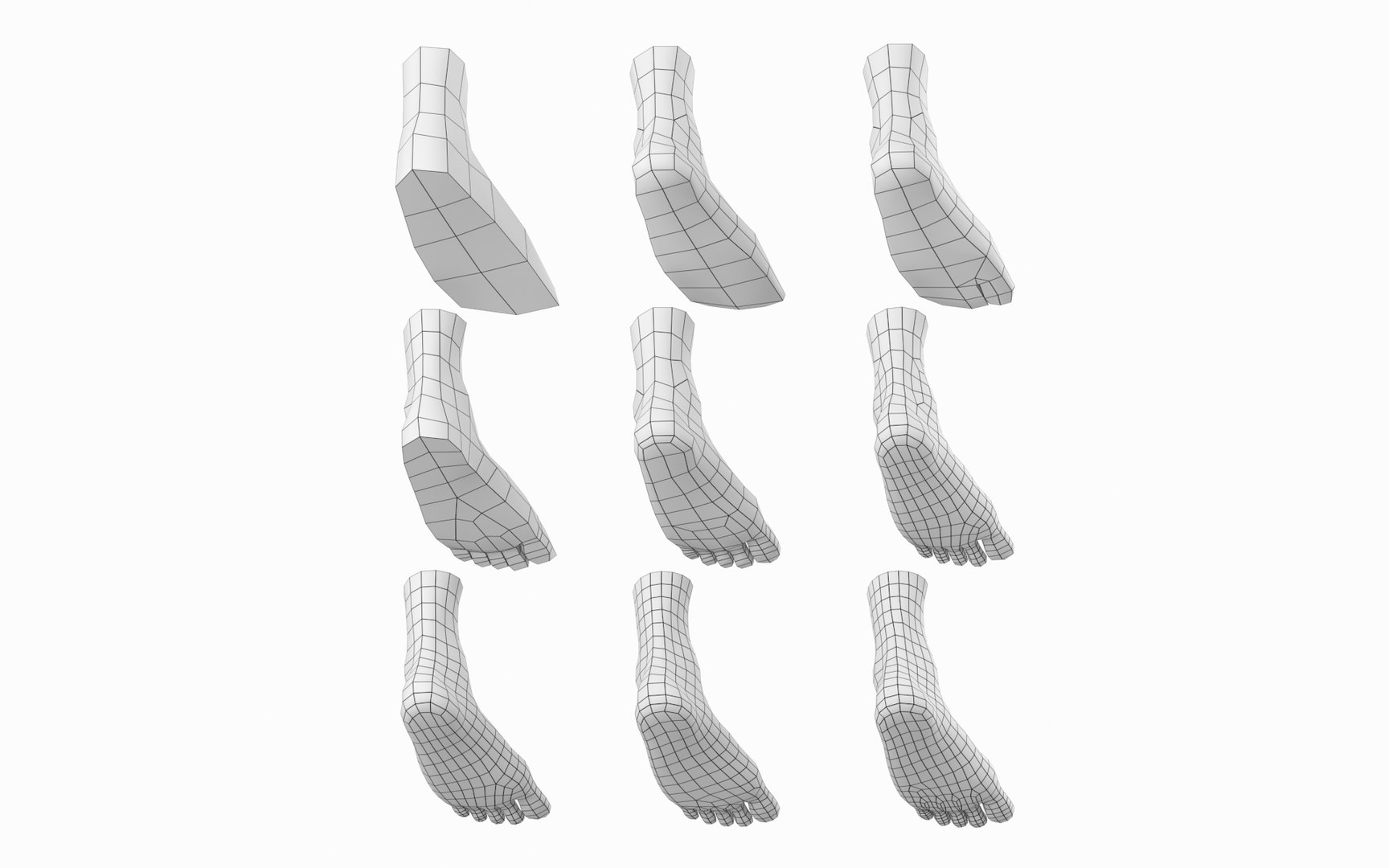 3D Foot Base Mesh Kit - TurboSquid 2067013