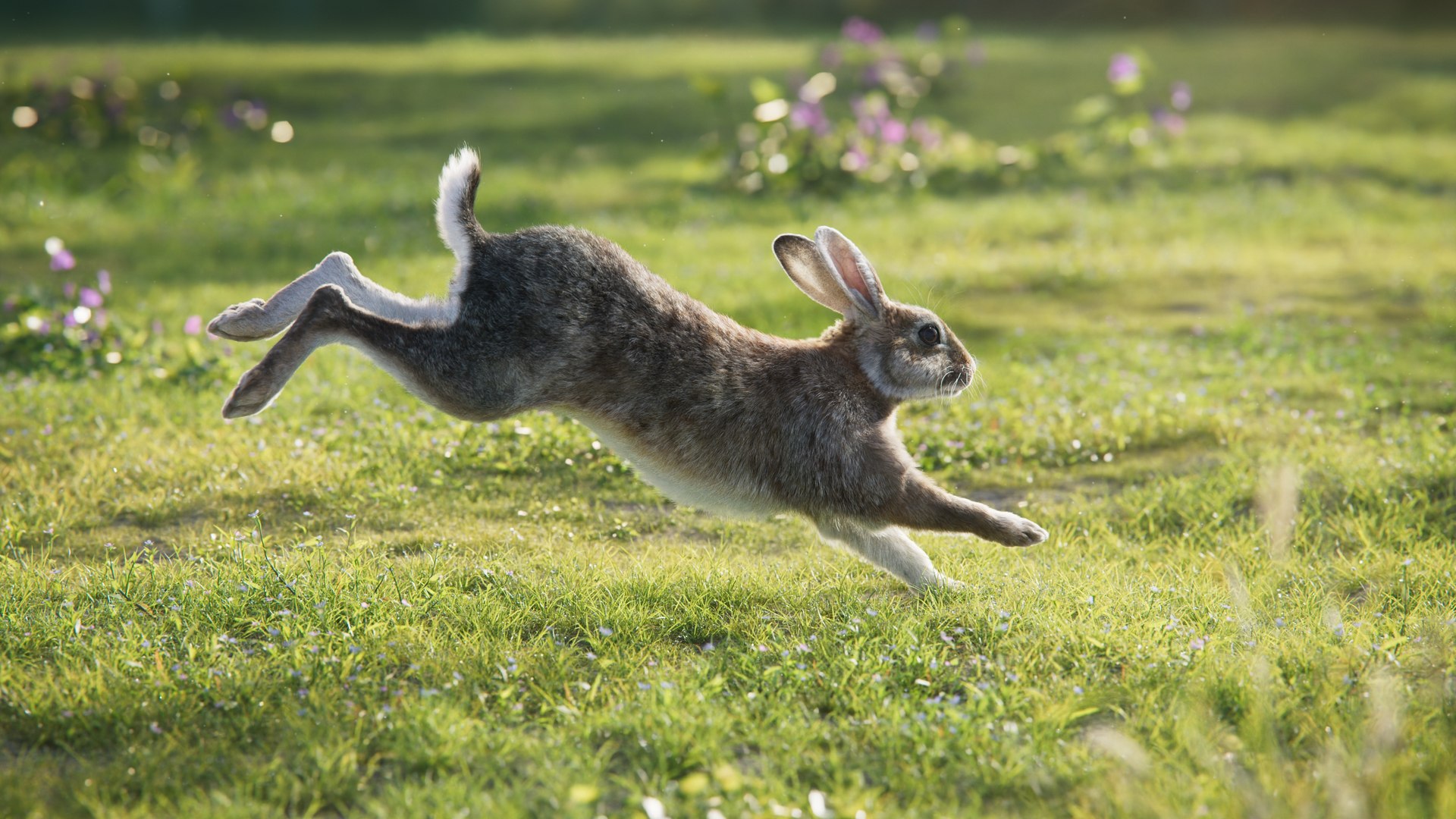 Japanese hare Animated 3D model - TurboSquid 2079128