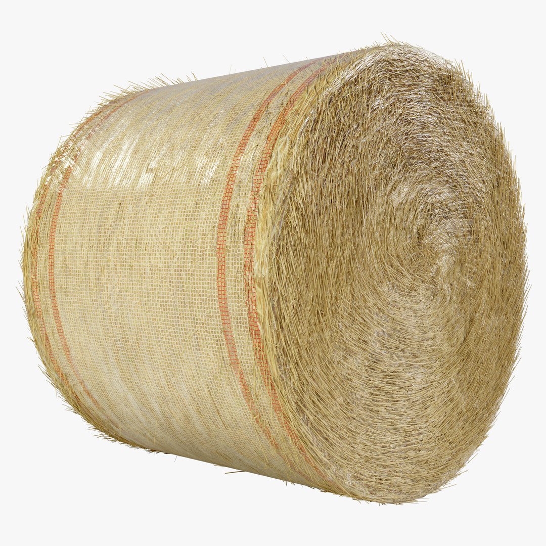 3D Round Hay Bale - TurboSquid 2114206