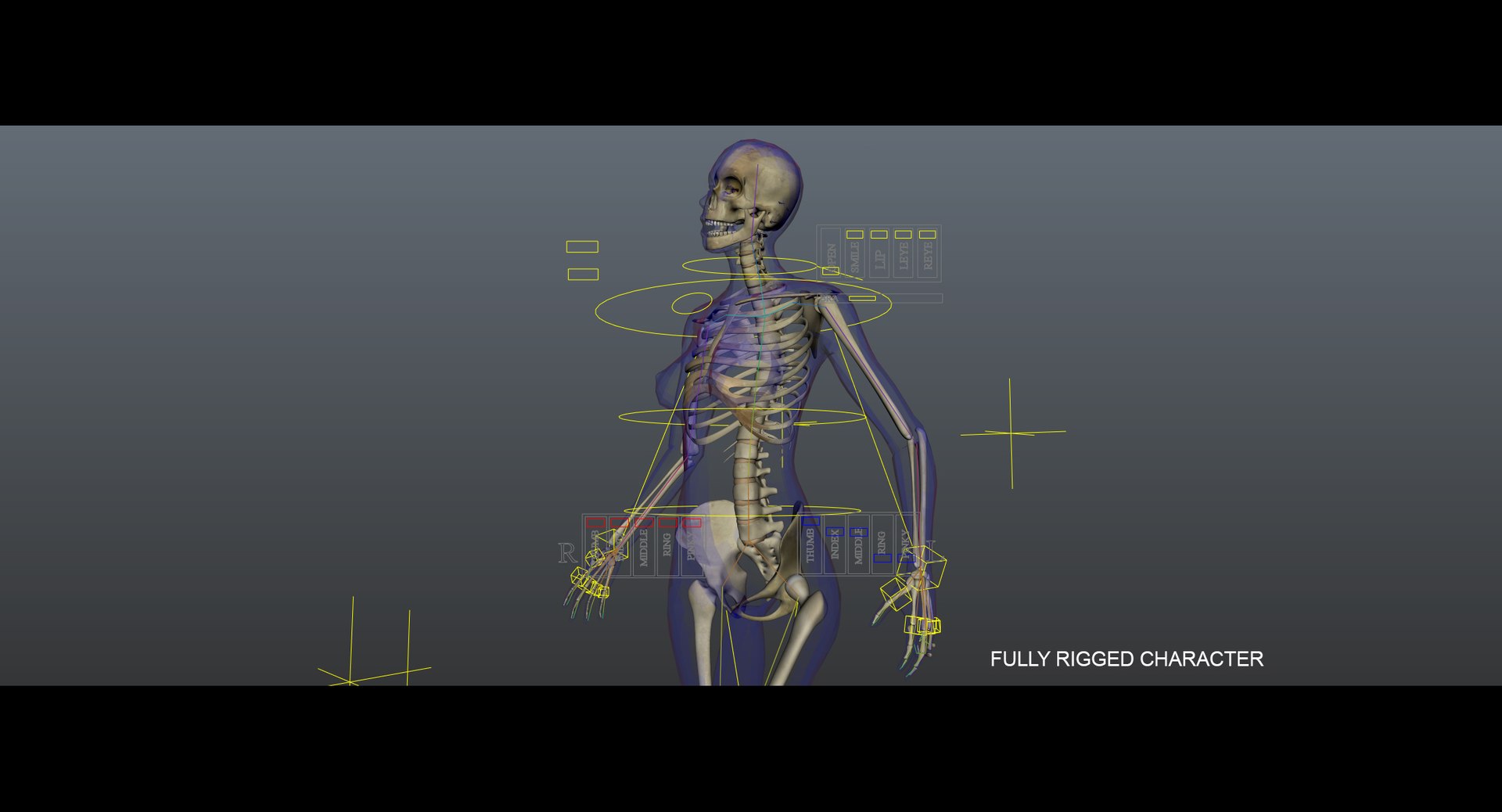 ultimate x-ray anatomy pack 3d ma