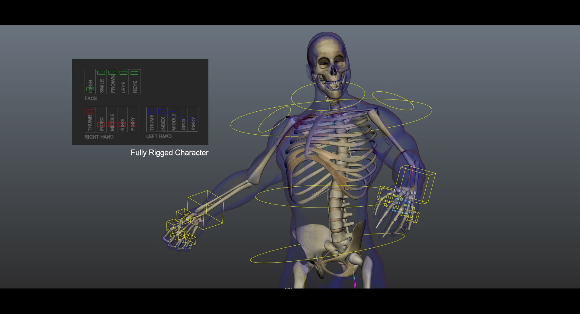 ultimate x-ray anatomy pack 3d ma