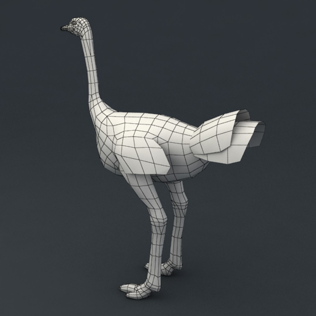 3d Model Ostrich Rigged Biped