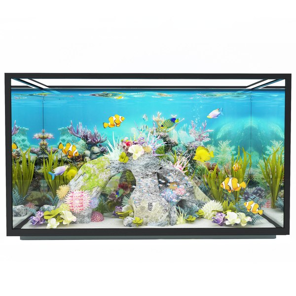 Aquarium 3D Models for Download | TurboSquid
