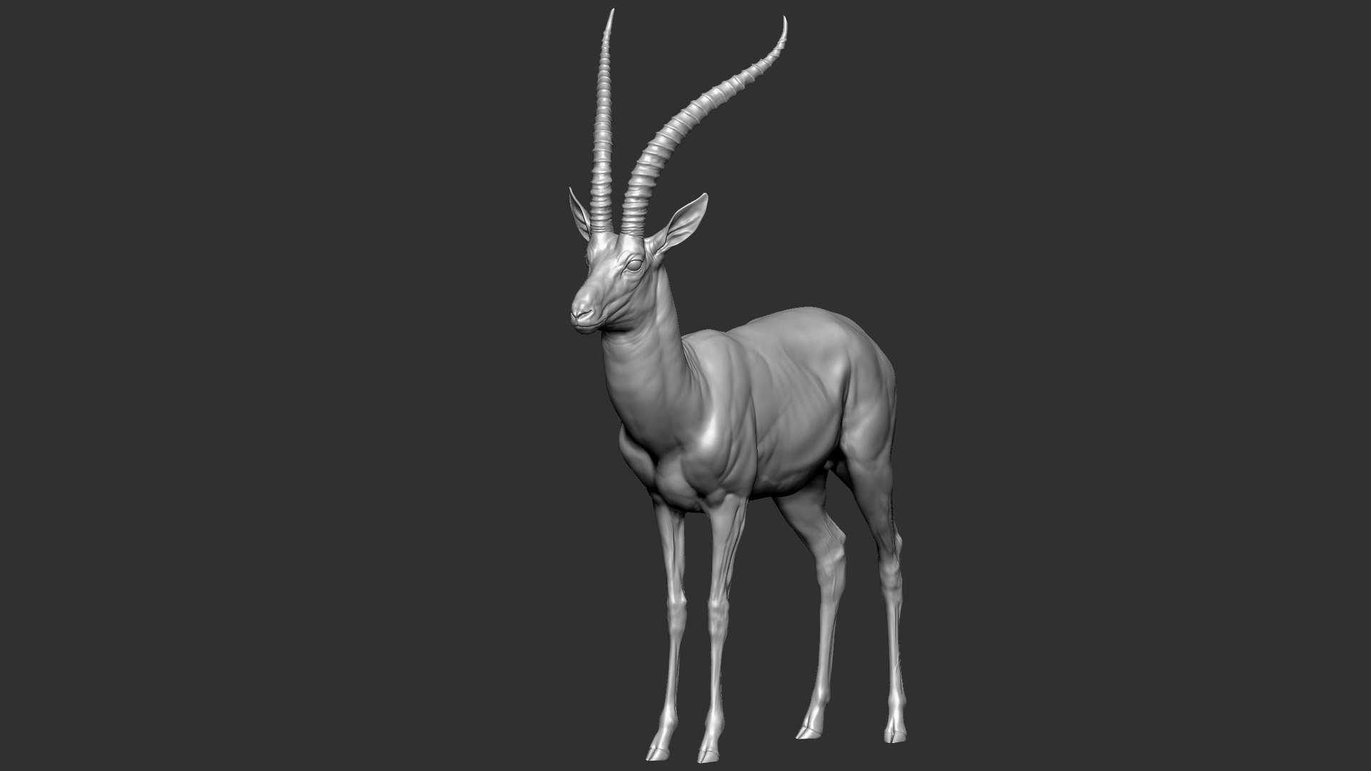 Grant Gazelle Nanger Granti 3D Model - TurboSquid 1963585